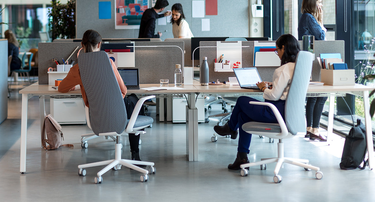 The Nia Collection – Haworth Store - International