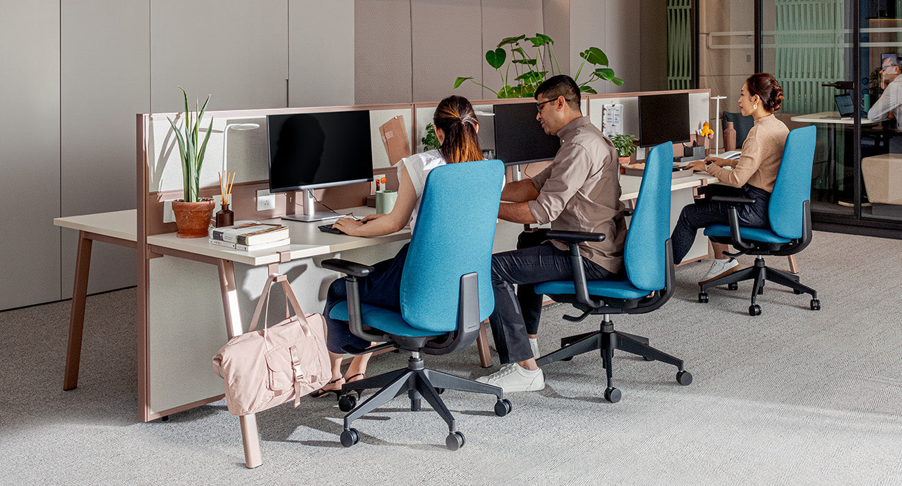 The Aloha Collection – Haworth Store - International